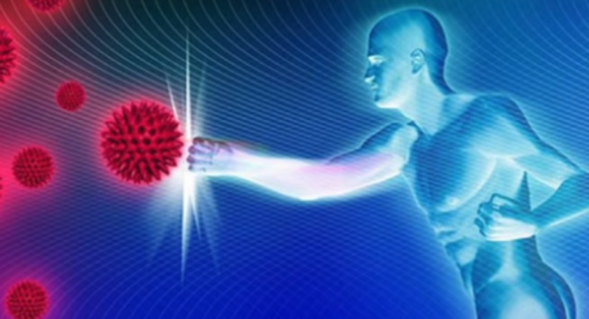 Autofagija - ključ za prevenciju i borbu protiv mnogih bolesti!