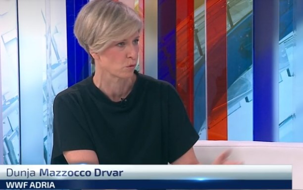 Kontroverzna meteorologinja za N1: ''Možemo očekivati pojave koje do ...