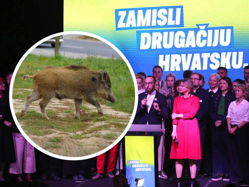 Zagreb: Kuda idu divlje svinje ? | CRODEX.NET